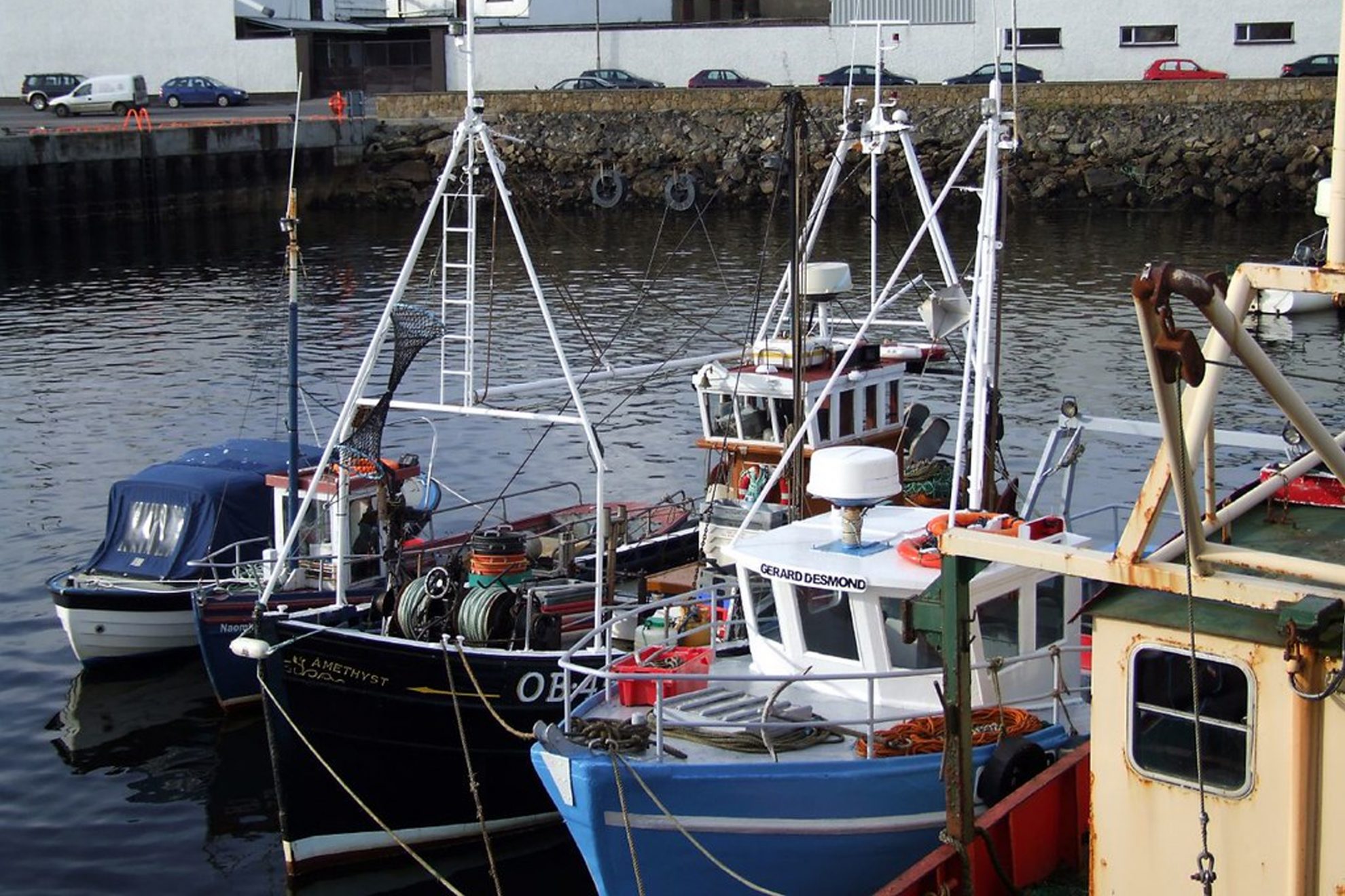 Oban Sea Tours - Explore Oban, What to see on our boat tour.